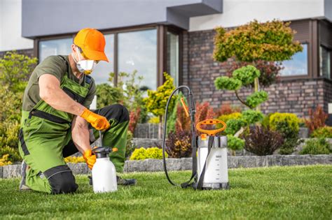 Control Integrado De Plagas Cip Un Enfoque Multifacético Para El
