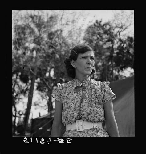 Canalpoint Images Free Photos Png Stickers Wallpapers And Backgrounds