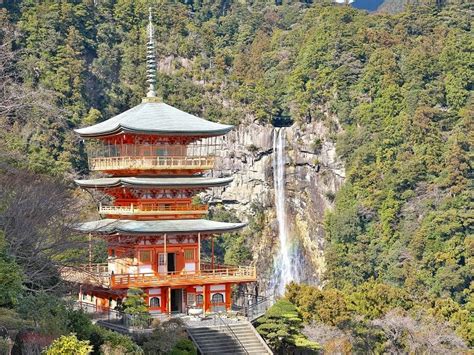 エリア 和歌山マイナビ農業