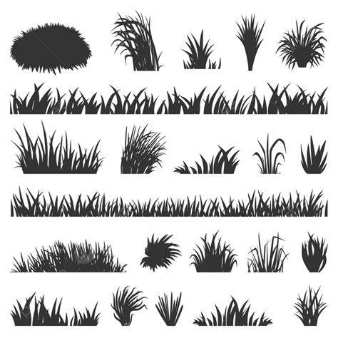 Grass Black Silhouettes Silhouette Bush Foliage Outdoor Graphic PNG