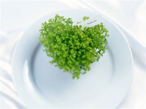 Wallpaper 10706 1600x1200 Px 1600x1200 Goodfon 1778011 Hd