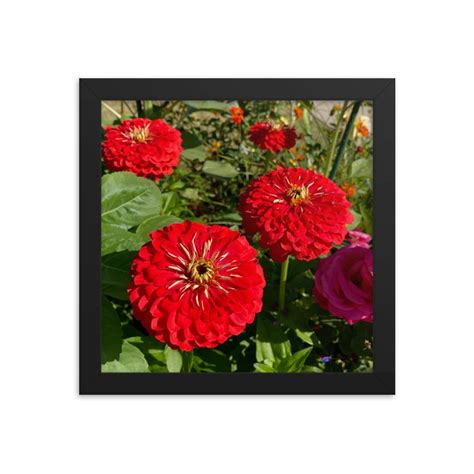 Fibonacci Framed Poster Etsy