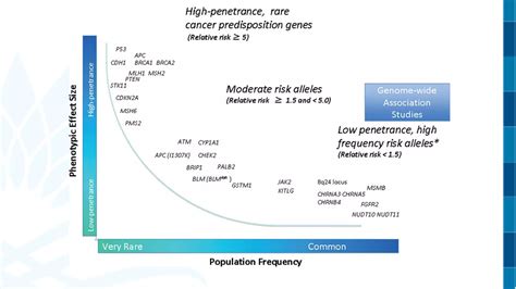 Hereditary Genetics Focusing On Prostate Cancer Pdf