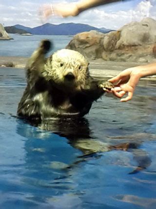 マリンピア日本海の投稿写真動物園水族館特集