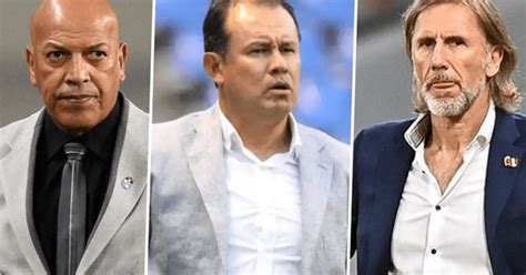 Dónde estudiar y qué requisitos se necesitan para ser entrenador de