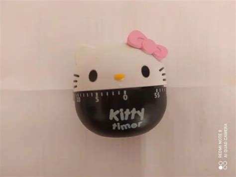 Kitchen Kitty Timer At Rs 150box Of 1000 Pieces रसोई के लिए टाइमर In