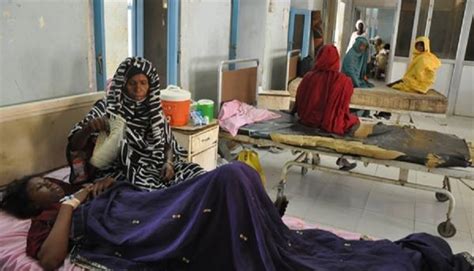 بعد القتال تحذيرات من تفشي الكوليرا وحمى الضنك في السودان موقع 24