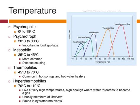 Ppt Bacterial Growth Powerpoint Presentation Free Download Id161354