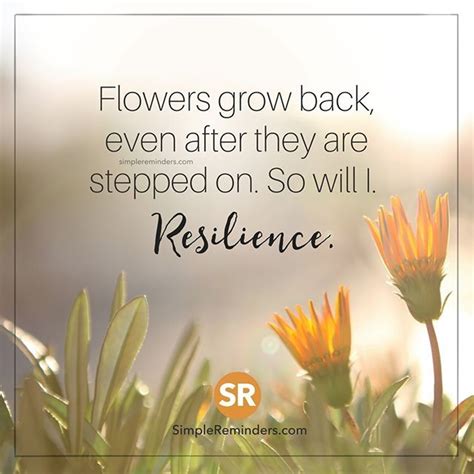 Flowers Grow Back Even After They Are Stepped On So Will I
