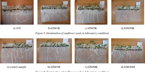 figure 5 from encapsulation of oil seeds as a safe system for the