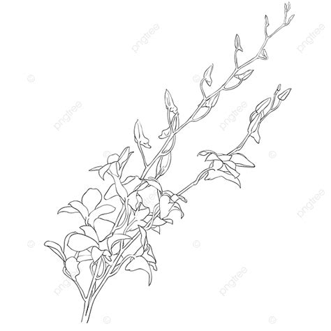 背景與盛開的花朵 花 組成 柔軟的向量圖案素材免費下載，png，eps和ai素材下載 Pngtree