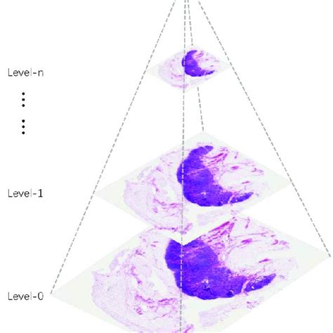 The Multi Resolution Pyramid Structure Of The Whole Slide Image
