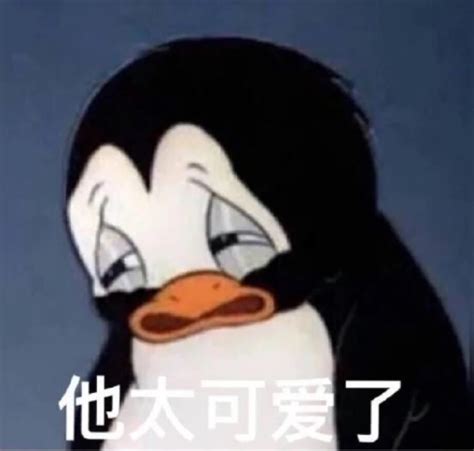 斗图啦日常表情包 表情包 嗨有趣
