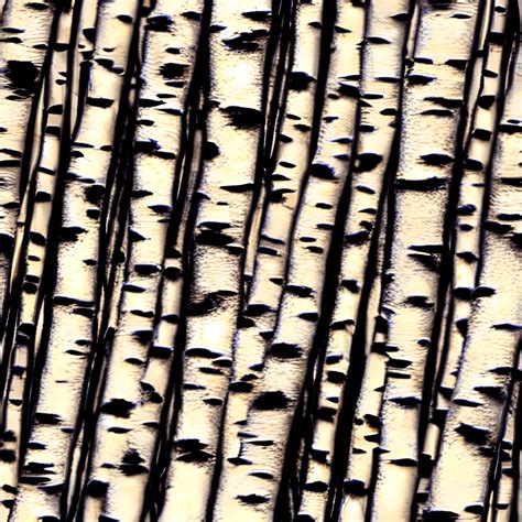 Birch Tree Bark Pattern Hyper Realistic Intricate Detail · Creative Fabrica
