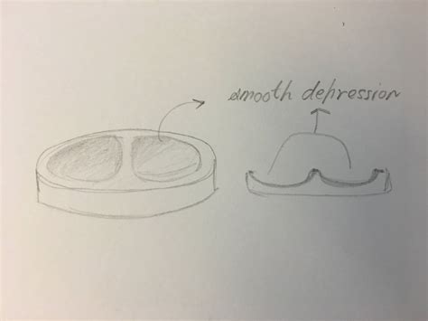 Modeling Modelling Question Regarding Smooth Depressions On Surfaces