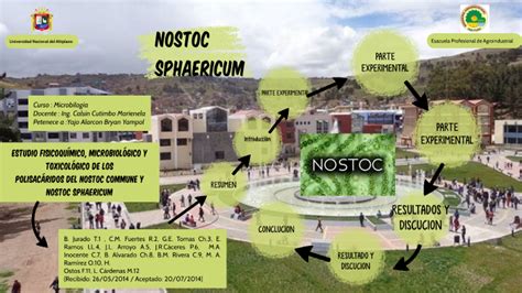 Nostoc Sphaericum By Bryan Yampol Yajo Alarcon On Prezi