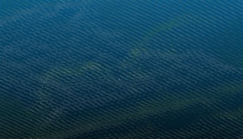 Densifypointcloud Precision Of Output Ply File · Issue 244 · Cdcseacaveopenmvs · Github