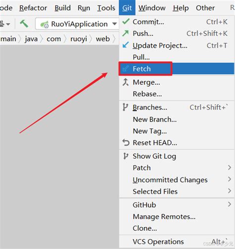 IntelliJ IDEA中刷新Git分支数据操作指南与命令详解 技术栈