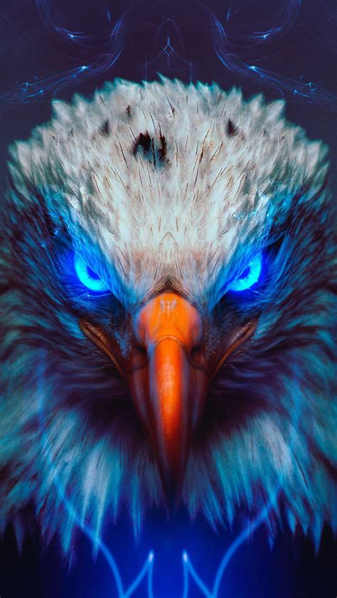 Eagle Hd Wallpapers Backgrounds