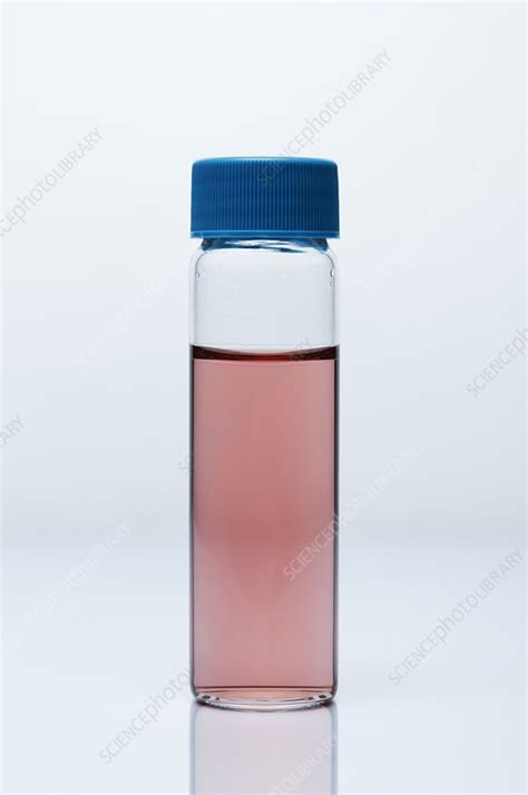 Capped Vial Stock Image C036 3831 Science Photo Library