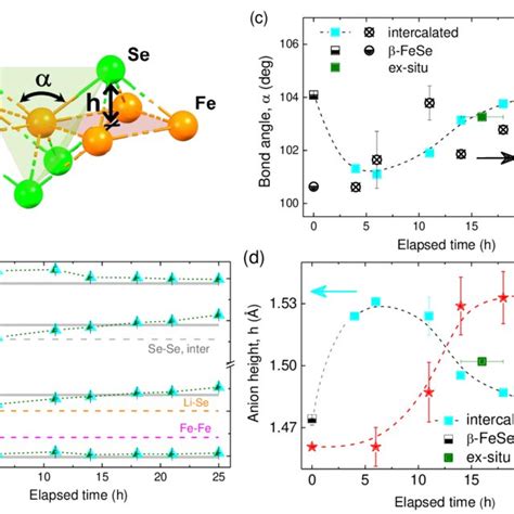 Molecular Orbital Diagrams Of Dioxygen Molecule Left Superoxo State