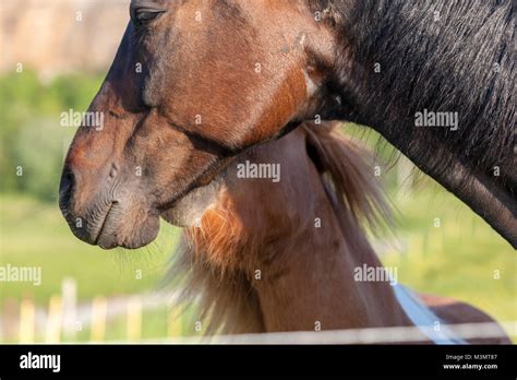 Bodo Kommune Fotos Und Bildmaterial In Hoher Auflösung Alamy