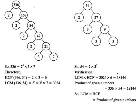 NCERT Solutions For Class Maths Chapter Real Numbers Ex
