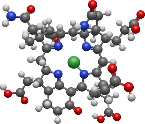 Kofaktor Vs Koenzim Perbedaan Dan Perbandingan
