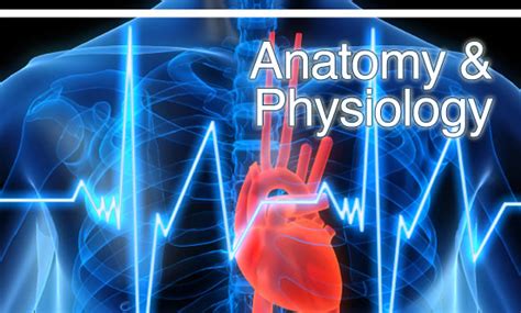 Anatomy Ppts Pharmd 1st Year ~ Revolution Pharmd