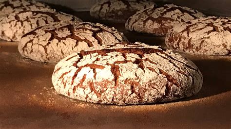 파리의 빵집에서 일하게 됐습니다~마지막에 제 얼굴 나와요 Youtube