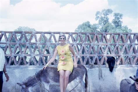 Photos Of Ladies Wearing Cat Eye Glasses In The 1950s And 60s ~ Vintage Everyday