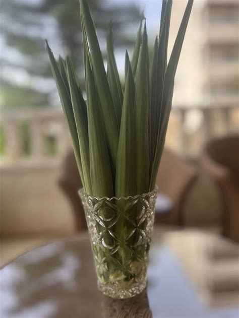 Ghim Của Alaadein Alfogaha Trên مرات الحفظ السريع