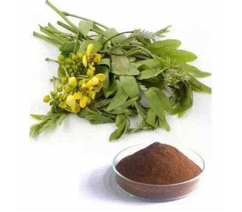 Brown Cassia Angustifolia Extract Packaging Type Loose At ₹ 14560kg In Indore