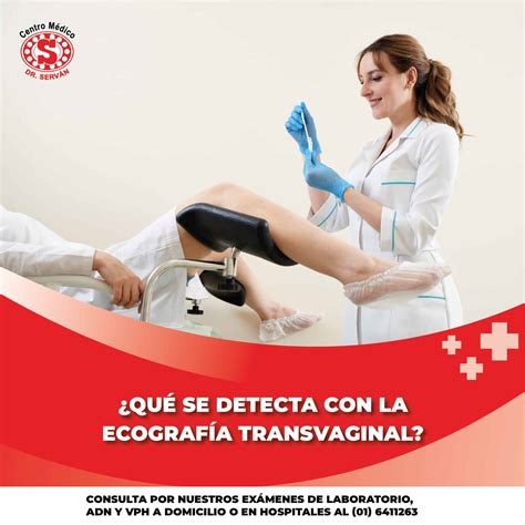 ¿qué Se Detecta Con La Ecografía Transvaginal Centro Médico Dr Serván