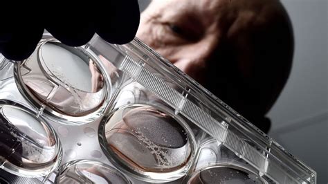 Move Over Ai Scientists Discover New Organoid Intelligence Field Mitechnews