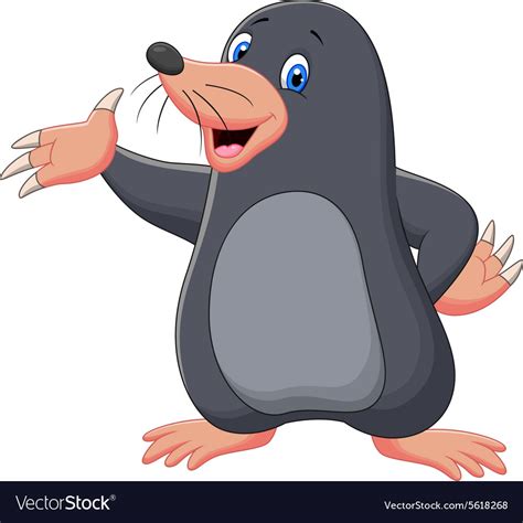Cartoon Cute Mole Royalty Free Vector Image Vectorstock