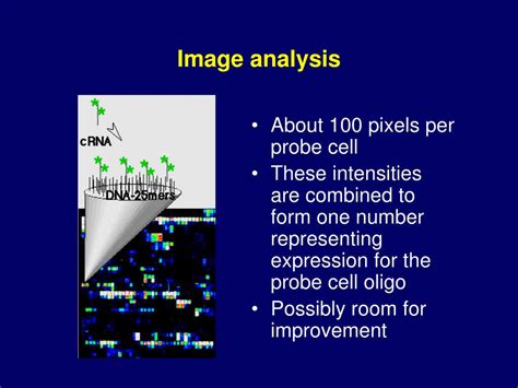 Ppt Introduction To Affymetrix Genechip Data Powerpoint Presentation