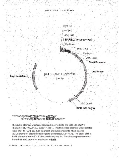 Addgene Pgl3 Rare Luciferase