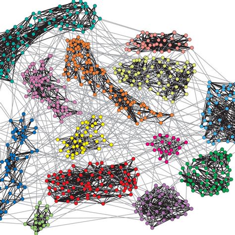 Modular Structure Of The Neuronal System Network With M 14 Modules Download Scientific
