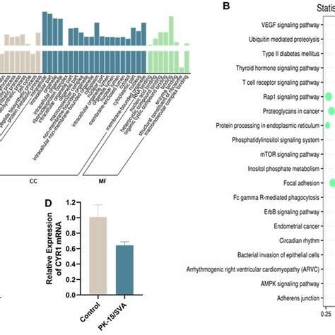 Piwi Interacting Rna Pirna Differential Expression Analysis A Venn