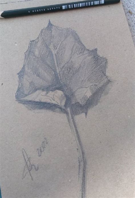 Картина «Мать и мачеха Бумага Карандаш 2022 г