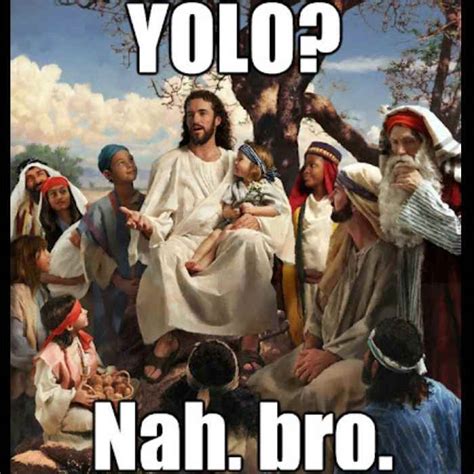 No Regrets Memes 15 Best Yolo And No Care Images To Share