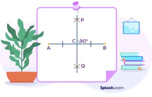 Bisect Meaning Formula Examples Facts