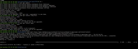 ec2 ubuntu 에서 자동화 배포 사전준비 ~aws pipeline과 삽질하며 싸워보기~