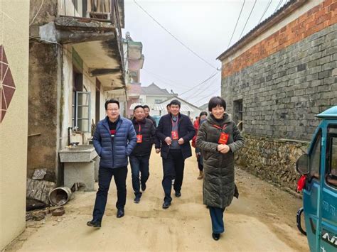 牛埠镇人大组织人大代表开展集中视察活动芜湖人大