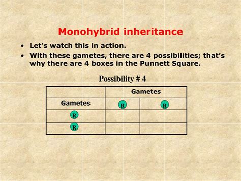 Ppt Genetics Powerpoint Presentation Free Download Id4736261