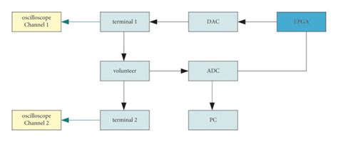 Experimental Principle Flow Chart Download Scientific Diagram