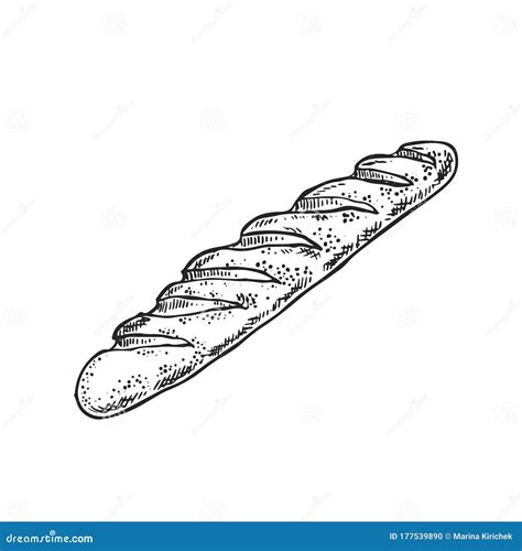 Baguette Bread Vector Drawing Bakery Product Sketch Stock Vector