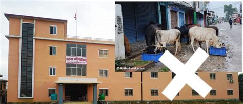 गढवा गाउँपालिकामा बाटोमा पशु चौपाया बाँध्न प्रतिबन्ध Ganatantra Nepal