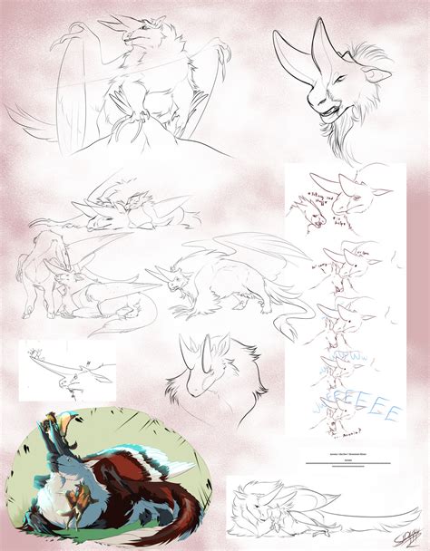 Aronia Sketches By Sirkutin On Deviantart